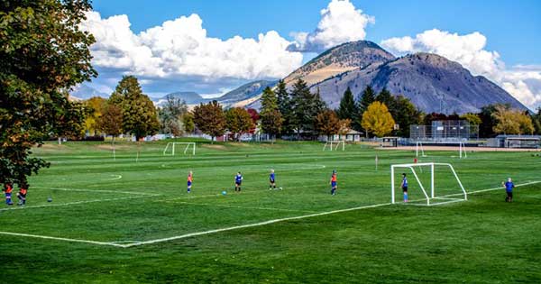 Order tickets for the Local Sport Organization Fundraiser 2021 50/50 ...